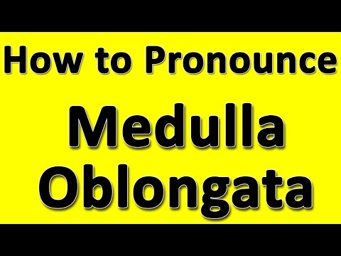 How to Pronounce Medulla Oblongata