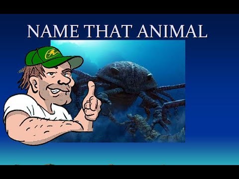 Paleozoic Redneck Names: Rednecks Name Monsters