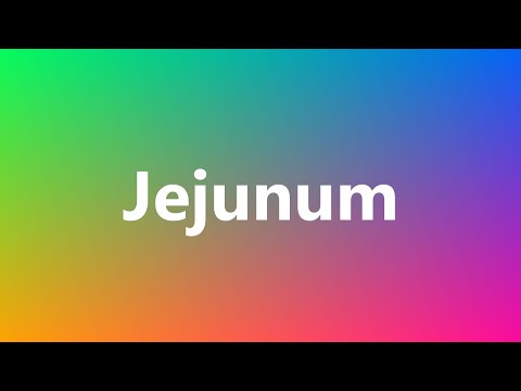 Jejunum - Medical Definition and Pronunciation