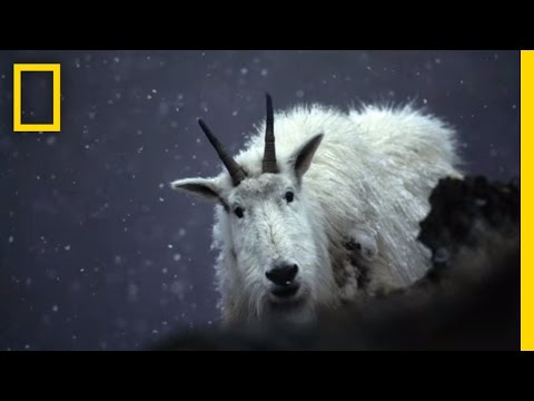 Stunning Pictures and Stories of Adventure | National Geographic