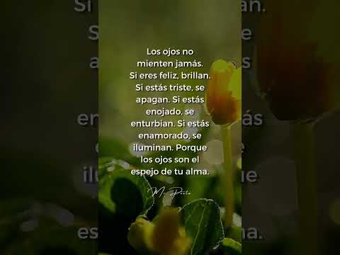 Los ojos jamás mienten 🔥🔥 #shorts #poema #amor #poesia #frases #fyp #mrpoeta #motivation