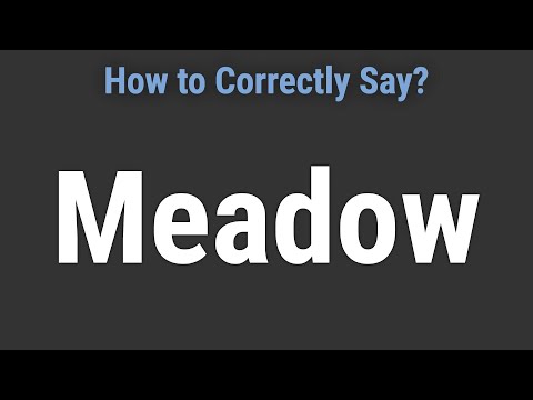 How to Pronounce Name Meadow (Correctly!)