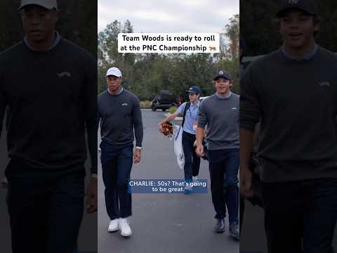 Tiger and Charlie have arrived!