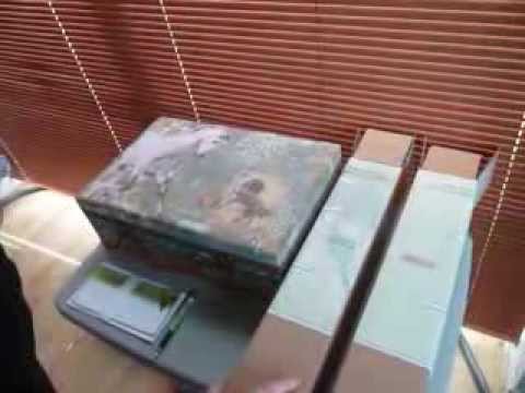 Gray Family Tree Video