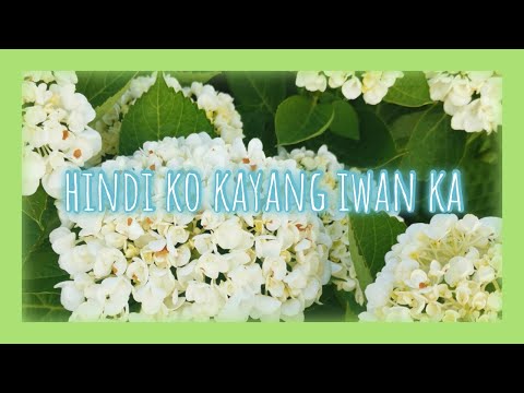 Hindi ko kayang iwan ka