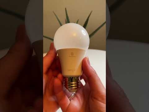Sengled bluetooth smart bulbs are the best friends of Amazon Alexa?