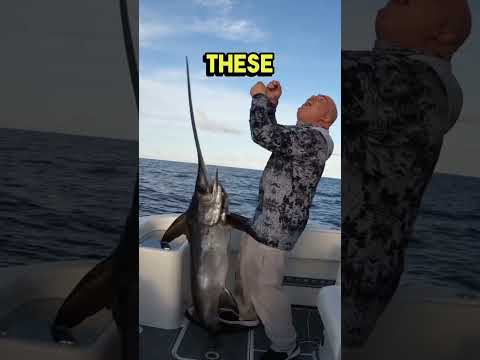 The 5 most expensive fish to eat #top5 #expensive #fish