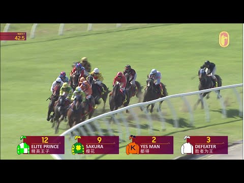 01 JUNE 2025 RACE 7
