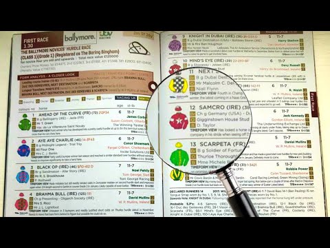 How to read a horse racecard