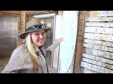 An Iconic Bar / Flora-Bama