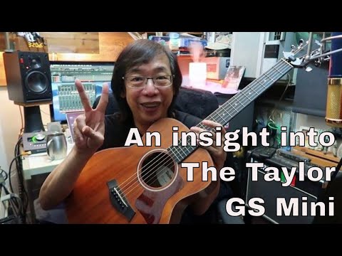 Taylor GS Mini Pickguard iMuso