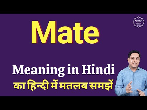 Mate meaning in Hindi | Mate ka kya matlab hota hai | daily use English words