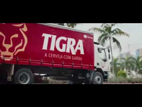 Cerveja Tigra - Fábrica Refriango - Ver Angola - Diariamente, o melhor ...