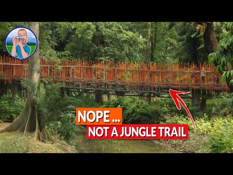 Tebet Eco Park - a rare Jakarta green space