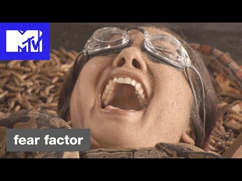 Fear Factor TV Series/TV Shows, All info: news, summary, synopsis ...