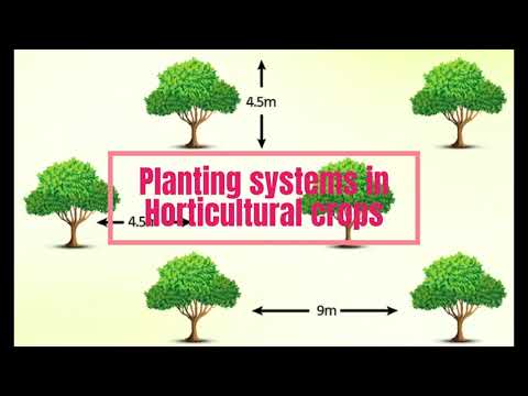 Planting Systems in Horticultural Crops