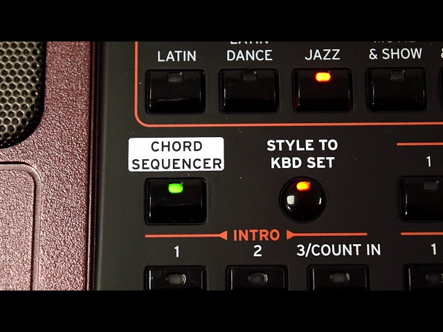 KORG Pa1000 Workstation, arrangeur | Kytary.fr