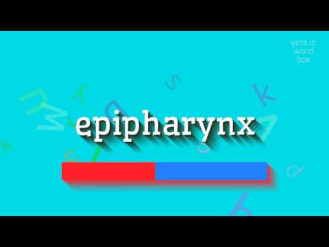 HOW TO SAY EPIPHARYNX? #epipharynx