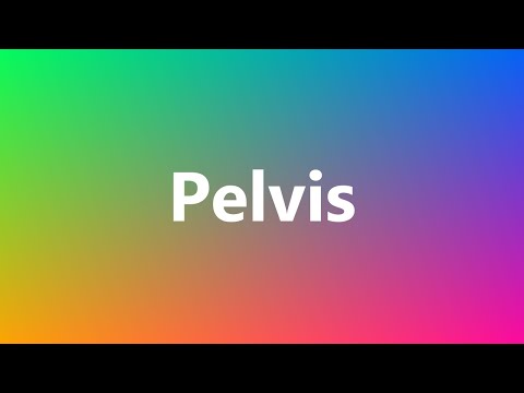 Pelvis - Medical Meaning and Pronunciation