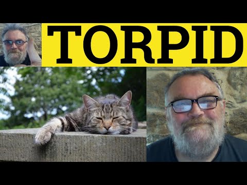 🔵 Torpid Meaning - Torpidly Examples - Define Torpidly - Literary English - Torpid Defined - Torpid