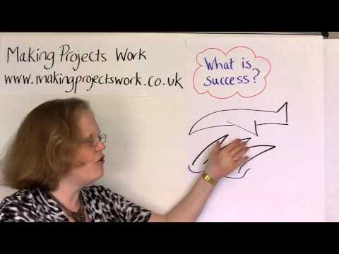What is success for a project?