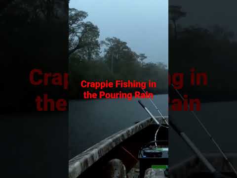 Crappie Fishing in the Pouring Rain