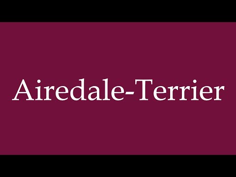 How to Pronounce ''Airedale-Terrier'' Correctly in German