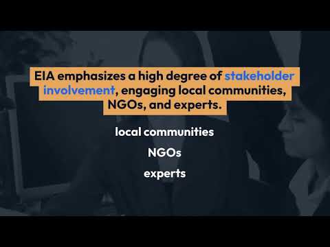 Difference between IEE and EIA