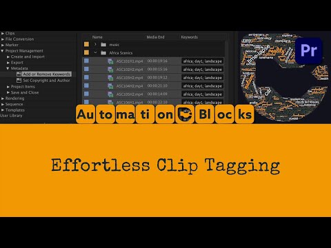 Automation Blocks for Premiere Pro - aescripts.com