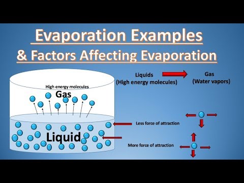 What is | Evaporation Definition , Examples & Factors Affecting Evaporation | Rate of Evaporation