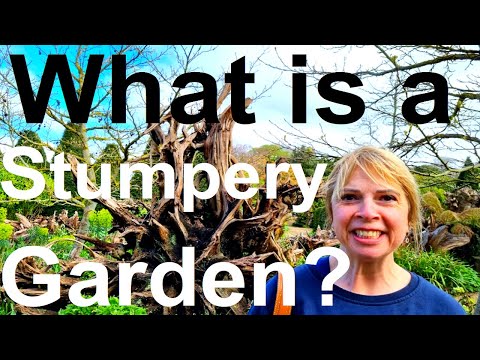 What is a Stumpery Garden