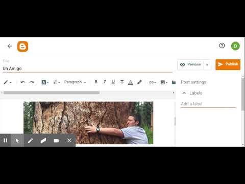 Blogging in Spanish