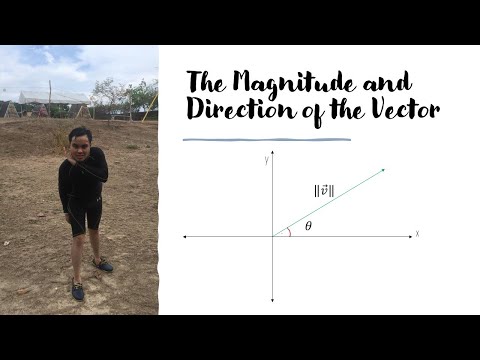 Calculating The Magnitude and Direction of the Vector