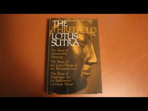 Threefold Lotus Sutra Excerpts Pt. 2 (The Doctrine of Innumerable Meanings)