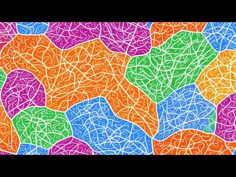 Brain Health Foods | NYC