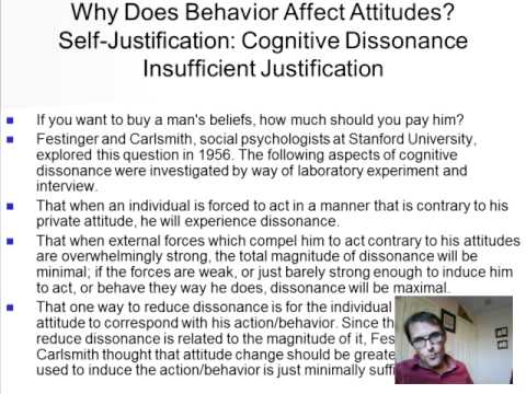 Behavior & Attitudes