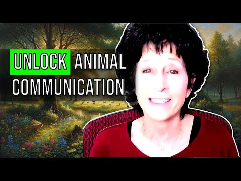 3 Daily Practices to Unlock Animal Communication