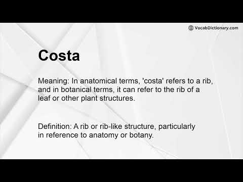 Costa Meaning