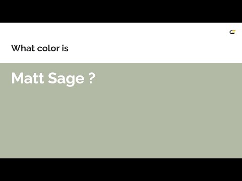 Matt Sage color #b2b9a5 hex Cool Green color b2b9a5