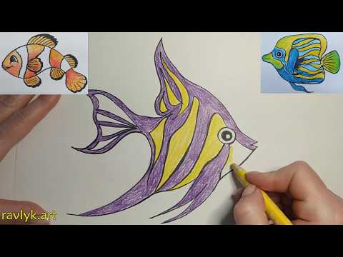 How to draw A Tropical Fish Step by Step – I'm Youtuber – Follow my ...