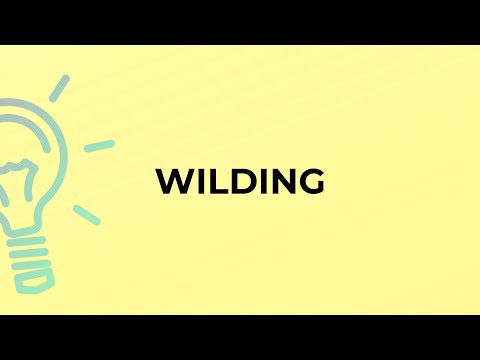 What is the meaning of the word WILDING?