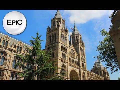 Natural History Museum - London, UK (HD)
