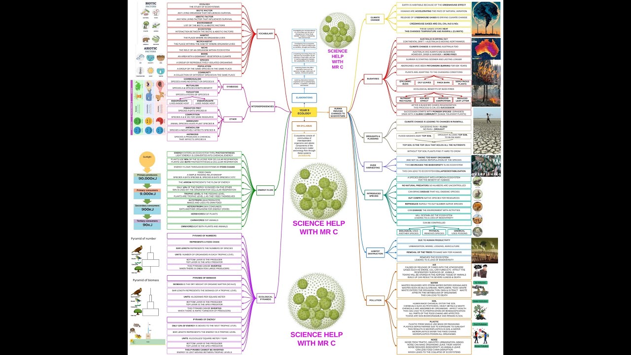 YEAR 9 Ecology Mind Map