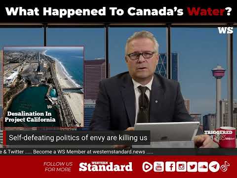 CORY'S RANT: Anti-enterprise ideology is killing essential projects