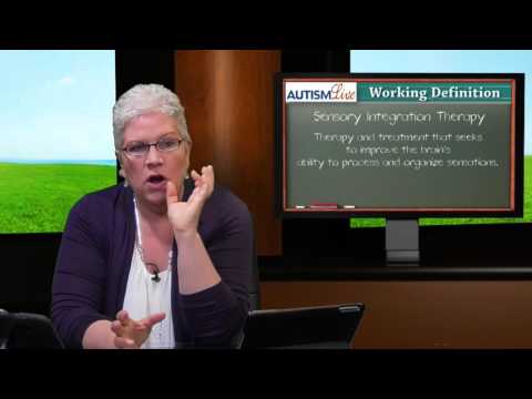 Autism Jargon: Sensory Integration Therapy