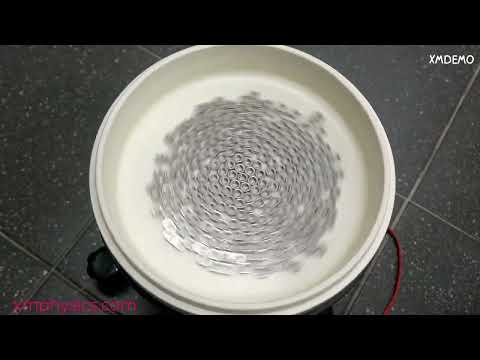 6.2.1 Nuts on Spinning Disc – xmPhysics