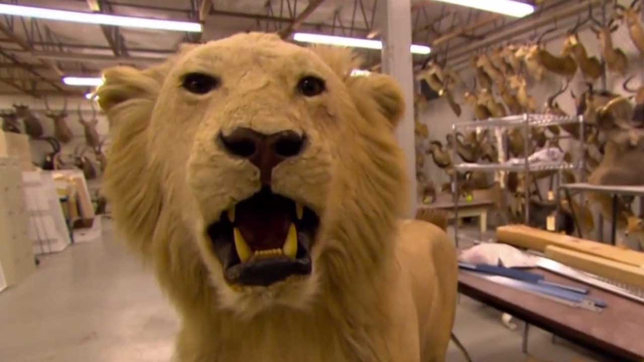 Forensics Lab Solves Animal Crimes | TODAY