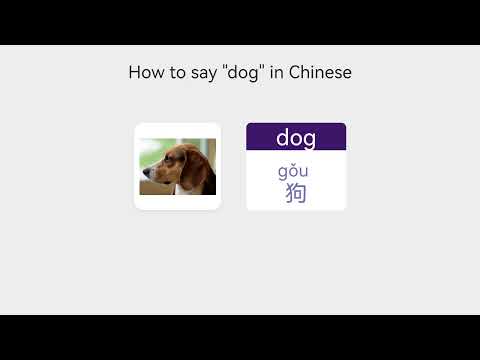 【Vocabulary Mammal Animal Names】 How to say dog in Mandarin Chinese