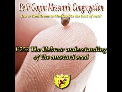 P252 The Hebrew Understanding of the Mustard Seed HQ WITH GRAPHICS