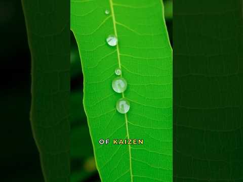 Kaizen: The Japanese Method to Continuous Improvement
